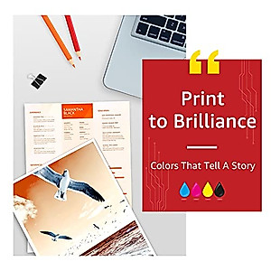 Palmtree Remanufactured Replacement for Canon 260 and 261 Ink Cartridges PG-260XL CL-261XL for Canon TS6420 TR7020 TS5320 Ink Cartridge Printers (1 Black, 1 Tri-Color)