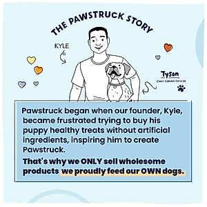 Pawstruck All Natural Air Dried Dog Food w/Real Chicken - Grain Free, Made in USA, Non-GMO & Vet Recommended - High Protein Limited Ingredient Wholesome Full-Feed - for All Breeds & Ages - 2lb Bag