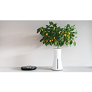 Botanium Hydroponic and Automatic Indoor Gardening Pot, White