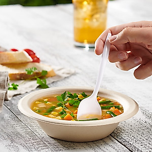 Pantry Value [400 Count] Lightweight White Plastic Spoons - Disposable Cutlery for Parties, Events, and Dinner (Formerly Comfy Package)