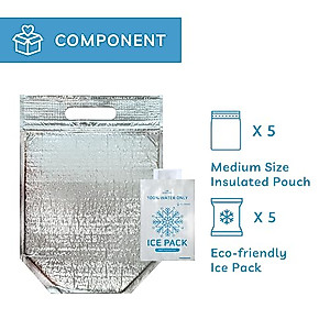 Insulated Lunch Bag with Zip Lock & Handle, Reusable Cool & Thermal Bags, Cooler Pouch, Hot & Cold, Ideal for Sandwich, Snack, Drink, Grocery, Camping (Medium_5 bags 9.8 x 11.0 inches + 5 Ice packs)