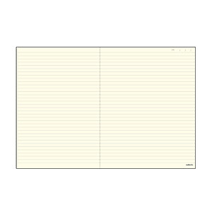 Letts Noteletts Universal Notebook, Medium, Ruled, Green, 6.5 x 4.375 Inches, 192 Pages (LEN6RGN)