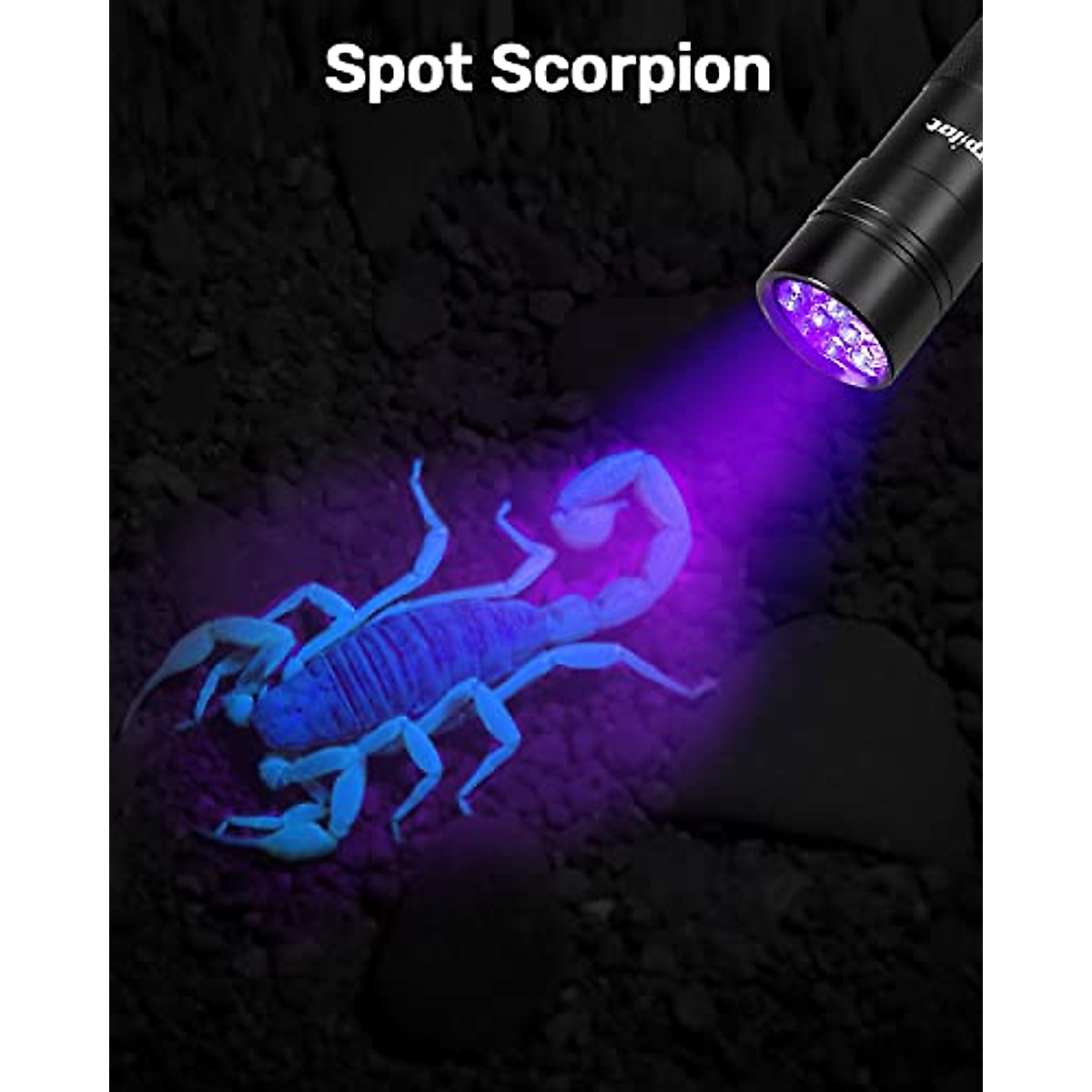 morpilot Blacklight Flashlights uv Flashlight: 12 Led 395nm 2 Pcs Black Light Flashlight Mini, Pet Urine Detector Light for Dog/Cat, Dry Stains, Resin Curing, Bed Bug