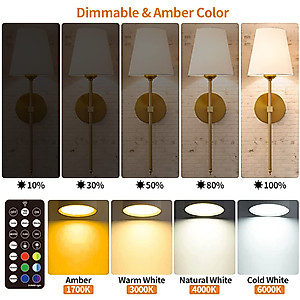 BLUEYE Battery Operated Light Bulb,E26 Detachable Charging(E12 available),Non-Hardwired,40W Equivalent,300LM,Remote Control,Timer,Dimmer,LED Emergency Puck Lamp,No wiring(Warm+Nature+Cold White+Amber)