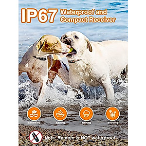 Bousnic Dog Shock Collar 2 Dogs (5-120Lbs) - 3300 ft Waterproof Training Collar for Dogs Large Medium Small with Rechargeable Remote, Beep (1-8) Vibration (1-16) and Humane Shock (1-99) Modes