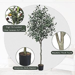 Chantoo Olive Tree 5FT Olive Trees Artificial Indoor Faux Olive Tree Artificial Olive Tree for Office Home Decor Faux Plants Indoor Tall Fake Plants with Realistic Trunk and Lifelike Fruits
