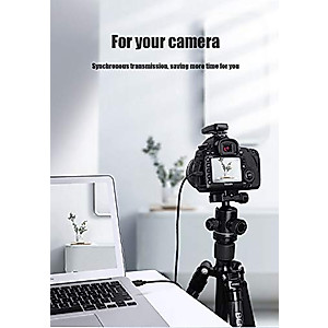 Ancable Camera USB Cable, 6 Feet 24AWG Mini USB Data Transfer Cable Cord for Canon PowerShot/Rebel/EOS/DSLR Cameras and Camcorders (IFC-400PCU)