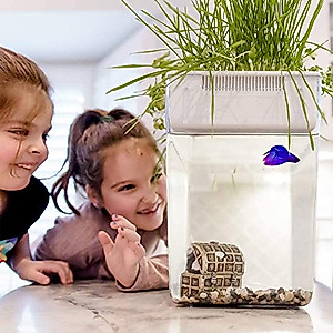 Back to the Roots Indoor Aquaponic Garden and Fishtank - 3 Gallon Self Watering, Mess-Free Planter and Self-Cleaning Fishtank for Herbs, Microgreens, Bamboo, Succulents, and Houseplants, support Fish