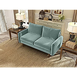 Meeyar Velvet Loveseat Sofas Couches,Small Couch for Apartment,Modern for Living Room Bedroom,Solid Wood Legs,Round Arms,33" Hx57.8 Wx31.7 D,Aqua Turquoise