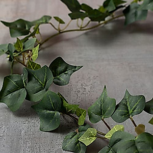 Ashland Michaels Assorted 6ft. Mini Ivy Garland