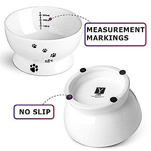 Y YHY Cat Bowl, 15 Ounce Cat Water Bowl, Raised Ceramic Cat Food Bowl, Elevated Cat Dog Dish No Spill, Pet Bowls for Cats or Small Dogs, Anti Vomiting, Measurable, White