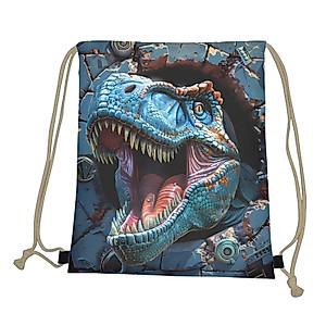 AFPANQZ Personalized Drawstring Bags T-rex Dinosaur Printed for Teenager Boys Sports Shoulder Bag Backpack Outdoor Causal Rucksack Satchel