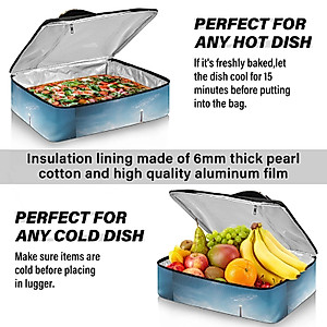 White Aircraft Take Off Runway in Daylight Sunrise Reusable Insulated Pizza Bag, Waterproof Food Delivery Bag, with Handle Lid Leakproof Pizza Holder Tote for Hot or Cold Food