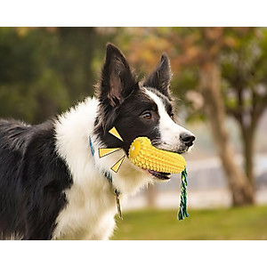Generic Dog Chew Toys for Aggressive Chewers – 2 Pcs Set Indestructible Tough Durable Squeaky Interactive Dog Corn Stick Toys for Small Medium Large Pet Super Fun Puppy Teeth Chew, Yellow