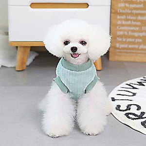 Mitili Dogs Sweater Winter Dog Clothes Warm Pullover Stretch Velvet Pets Jacket Pet Sweaters for Boy and Girl Cat Pullover Shirt in Cold Weather for Small Medium Bulldog Chihuahua (Small, Green)