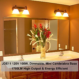 Vinaco E11 Light Bulb, 2 Pack E11 Halogen Bulb 100W Long Lasting Lifespan, T4 E11 Dimmable, High Output 1700LM JDE11 120V 100W with E11 Mini Candelabra Base, 2800K Warm White E11 Bulb