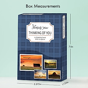 Designer Greetings Faithfully Yours Inspirational Thinking of You Boxed Card Assortment, Heartland Greetings with Biblical Scripture Verses (Box of 12 Greeting Cards with Envelopes)