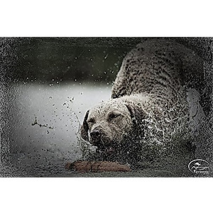 SportDOG Brand Plastic Dummies