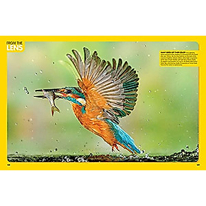 National Geographic Kids Animal Encyclopedia, 2nd Edition: 2,500 Animals with Photos, Maps, and More!