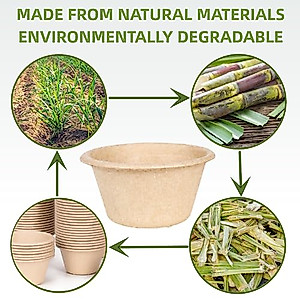 Gere Disposable Testing Cup Bowls,100 Pack, 2 oz, Natural Biodegradable Bagasse Fiber Souffle Cups, Condiment Cups, Sample Cups, Measuring Cups,