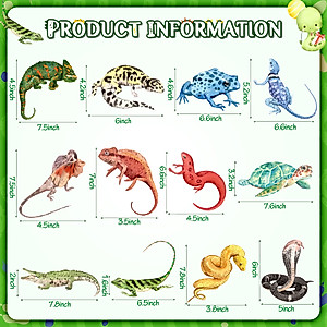 Reptile Birthday Party Supplies Reptile Swamp Happy Birthday Banner and 12 Pcs Reptile Hanging Swirls Safari Animals Lizard Snake Alligator Turtle Camping Wilderness Jungle Birthday Party Decorations