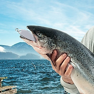 FREGITO 5pcs Fishing Lures Fishing Spoons, Trout Lures Bass Lures Hard Metal Spinner Baits for Salmon Bass Trout (Silver-A)