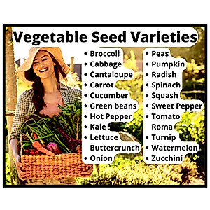 20 Vegetable & Fruit Seeds for Planting Your Outdoor & Indoor Home Seed Garden, Survival Gear Kit Includes 2900 Seeds, A Growing Guide & Mylar Package Gardening Heirloom Non-GMO Veggie Seed B&KM Farm