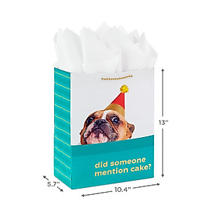 Hallmark 13" Large Birthday Gift Bag with Birthday Card and Tissue Paper (Dog, Did Someone Mention Cake?) for Kids, Parents, Coworkers, Friends