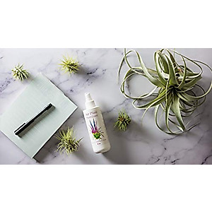 Tillandsia Air Plant Food | Fertilizer Kit with Spray Bottle and Mister | Encourages Air Plants to Bloom with Formulated Nutrients by Aquatic Arts