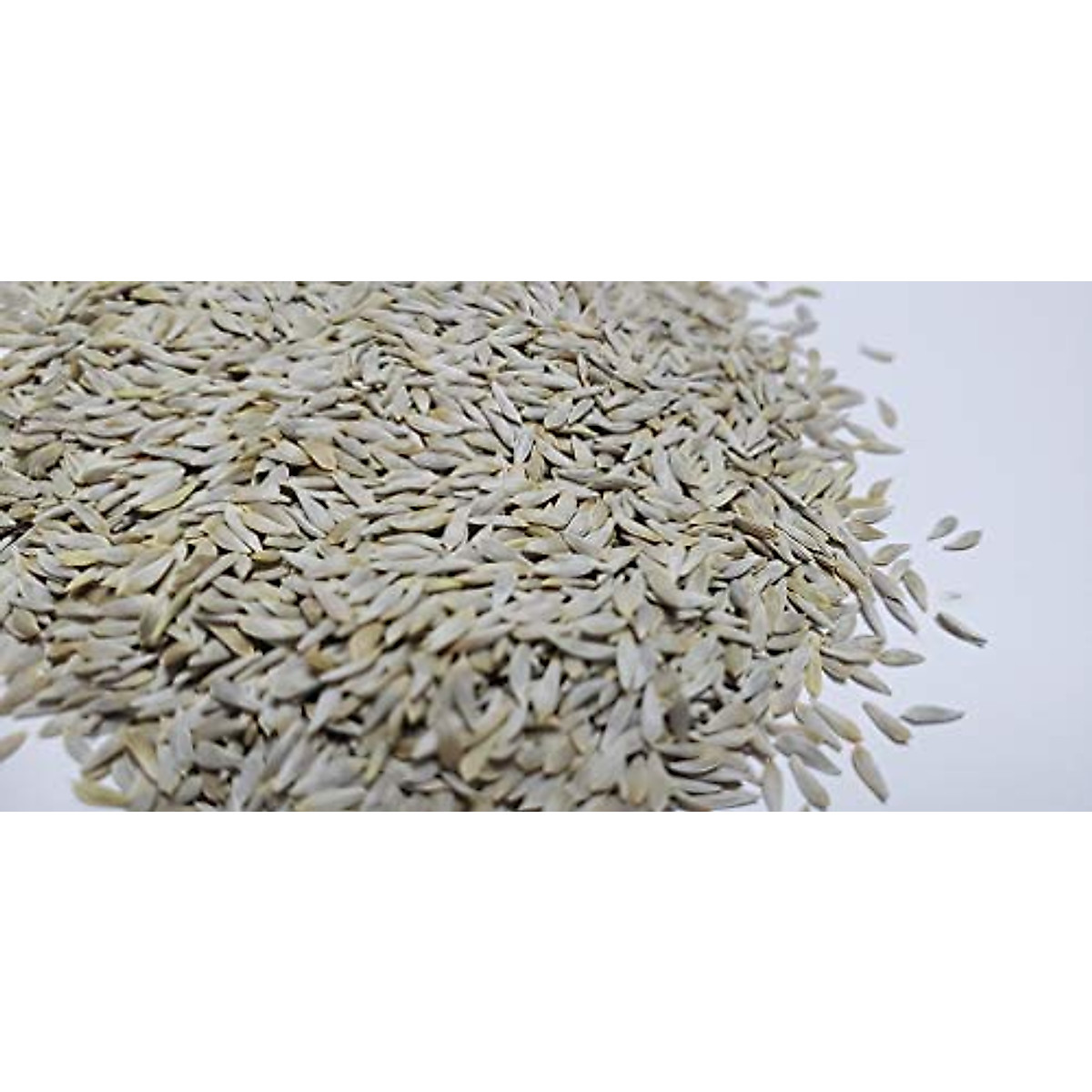 Butterhead Lettuce Seeds “White Boston” - Firm, Round Buttercrunch-Like Head Lettuce | Heirloom Seeds by Liliana's Garden |