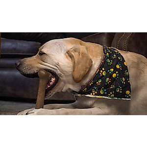 HERO | Bonetics | Dog Bones | Puppy Bones | Designed for Large Dogs Up to 65 lbs (Beef Flavor)