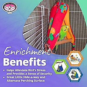 Super Bird Creations SB474 Sheltering Peekaboo Perch Tent with Colorful Plastic Beads & Bell, Small to Medium Size, 12” x 5” x 6.5”