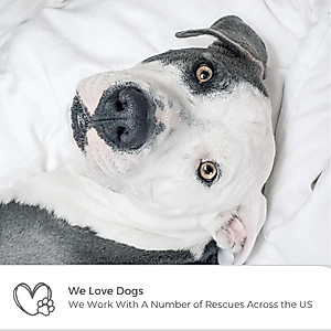 Wooflinen Luxurious Viscose Derived from Bamboo King Duvet Cover Set - Corner Ties - Zipper Enclosure - Wonderfully Soft - Matte White - 3pc Cover + 2 Pillowcases