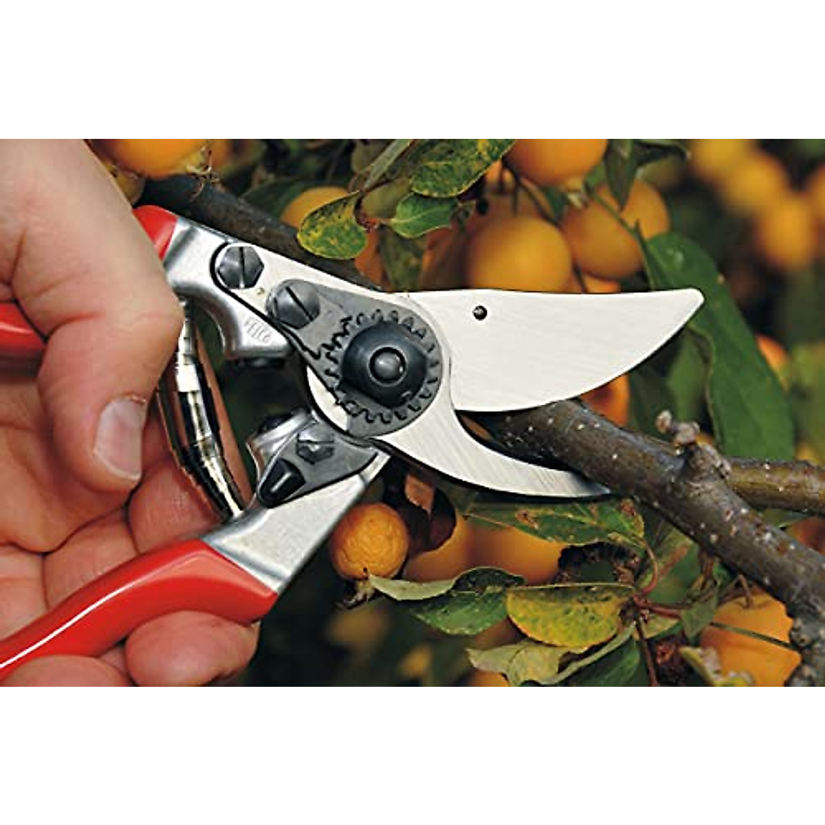 Felco Pruning Shears (F 9) - High Performance Swiss Made One-Hand Left-Handed Garden Pruners