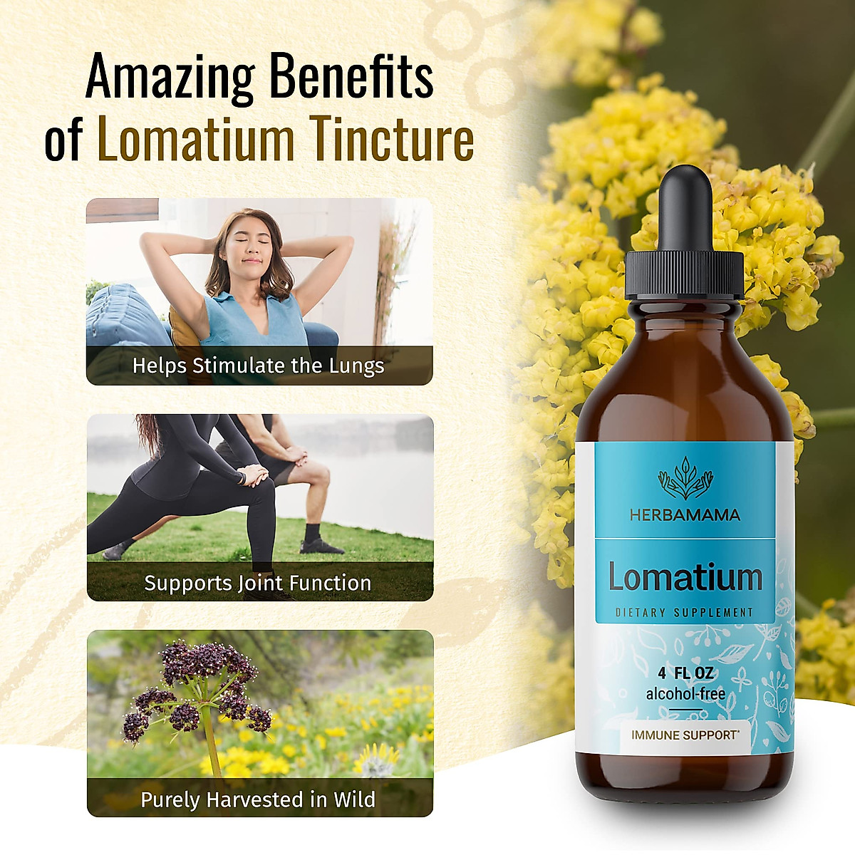 HERBAMAMA Lomatium Tincture - Organic Lomatium Root Drops (4 Fl Oz (Pack of 1))