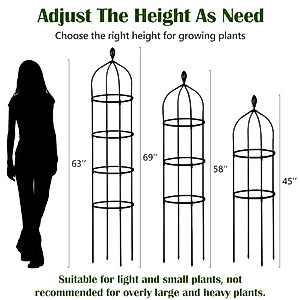 Garden Obelisk Trellis for Climbing Plants Outdoor 6 Ft Rose Bush Round Trellis for Pots Rustproof Metal Plant Flower Trellises for Clematis Vine Jasmine Support Outdoor Indoor