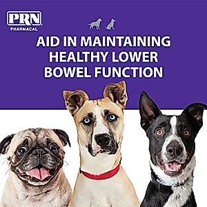 PRN Pharmacal PetEma - Disposable Single Use Enema for Dogs & Cats - Rectally Administered Gel Containing Lubricant, Laxative & Stool Softener - with Glycerin & Sorbic Acid - 12 mL Syringe - 3 Pack