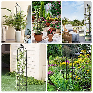 Garden Trellis for Climbing Plants Outdoor, 6ft Tall Plant Trellis Support for Potted Plants Climbing Vine Rose Clematis Vegetable Cucumber Trellis, Garden Obelisk Trellis