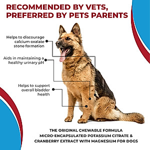Potassium Citrate Plus Cranberry Supplement for Dogs (100 Tablets) - Urinary Tract Support-Helps Deter Formation of Calcium Oxalate Stones - Deters Bladder & Kidney Stones (Made in U.S.A)