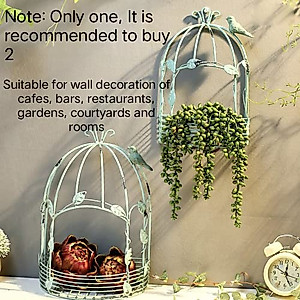 8.66"Art Wall Decor Metal Floating Shelves Hanging Bird Cage Display Rack Wall Mounted Storage Rack Indoor Outdoor Garden Decoration Wall Shelf Plant Stand Bedroom Livroom Office Sofa Cafe Home Decor