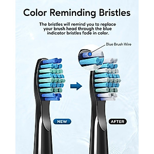 7 Pack Dnsly Electric Toothbrush Heads Compatible with FW-507/508/551/515/917/959/2011/D1/D3/D7/D8 Dnsly Toothbrush Heads, Black