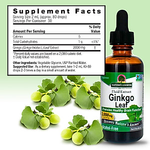 Nature's Answer Alcohol-Free Ginkgo Leaf 2000mg 2oz Extract | Stimulates Memory, Mood & Concentration | Gluten-Free, Kosher Certified & No Preservatives | Single Count