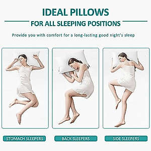 Botduck Goose Down Feather Pillows Standard Size Set of 4 Pack Hotel Collection Bed Pillow for Sleeping Medium Firm Support for Side Stomach & Back Sleepers, 20x26 Inch