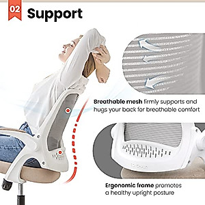 NEO CHAIR Office Desk Computer Gaming Chair with Ergonomic Lumbar Back Support Flip-up Padded Armrest Adjustable Height and Wheels for Home or Office (Beige)