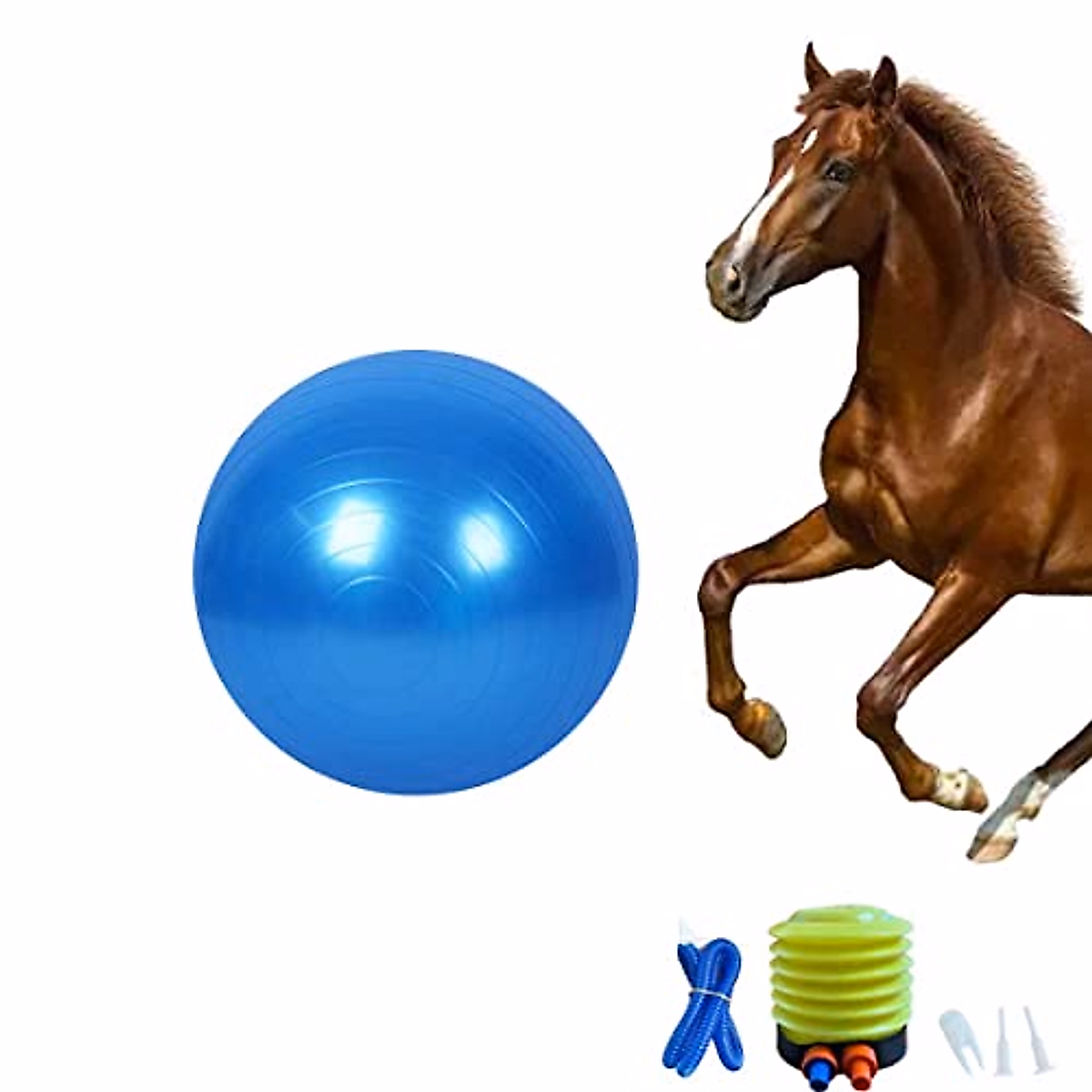 Chyesong Horse Ball Training Toy, Anti-Burst Horse Exercise Ball Toy with Inflator Pump for Horse Lamb Goat Enterainment Toy Ball (22 Inch, Blue)