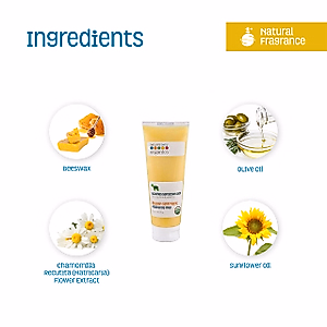 Organics Diaper Cream by Nature's Baby, USDA Certified Diaper Rash Cream with Calendula for Sensitive Skin | Free from Zinc, Petroleum and Artificial Fragrance