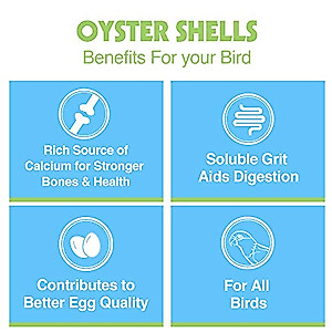 Oyster Shells, 15.5 Ounces