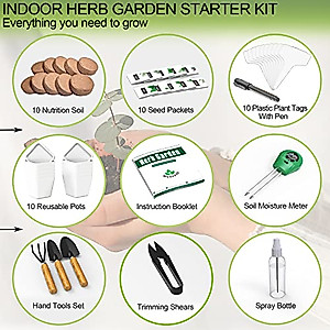 Herb Garden Kit Indoor Herb Starter Kit - 10 Variety Herbs with Complete Herb Growing Kit - Kitchen Window Herb Garden - Unique Gardening Gifts for Women & Men