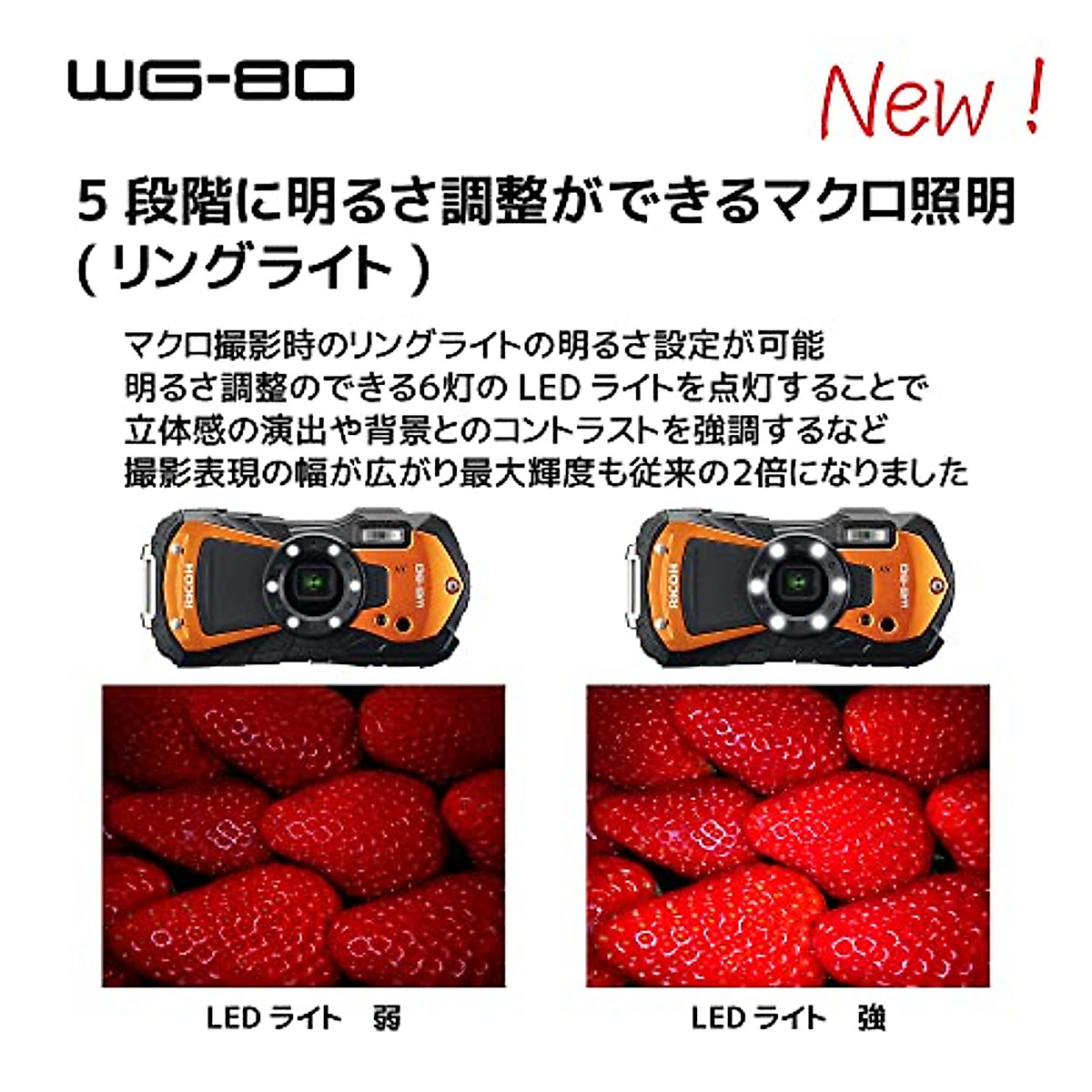 Ricoh WG-80 Black Waterproof Digital Camera Shockproof Freezeproof Crushproof (International Version)