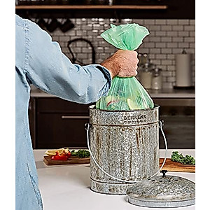 Biodegradable Trash Bags 100 Counts, 20L Small Bin Liner Recycle 4-6 Gallon Garbage Bag, Thick Degradable Rubbish Bag Compostable For Food/Household/Garden Waste in Kitchen,Office,Home,pet